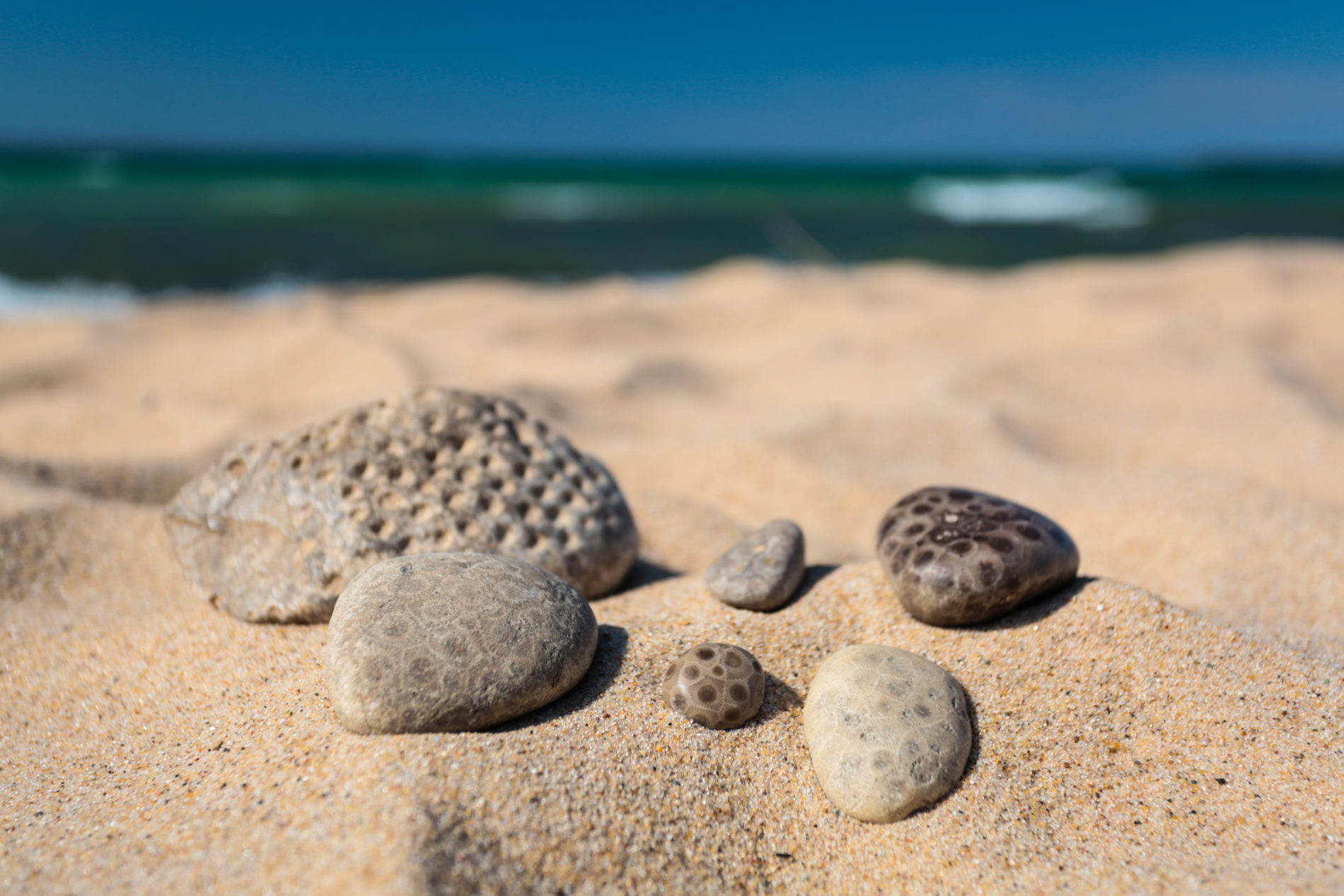 Petoskey Stones 5 - Trout Creek
