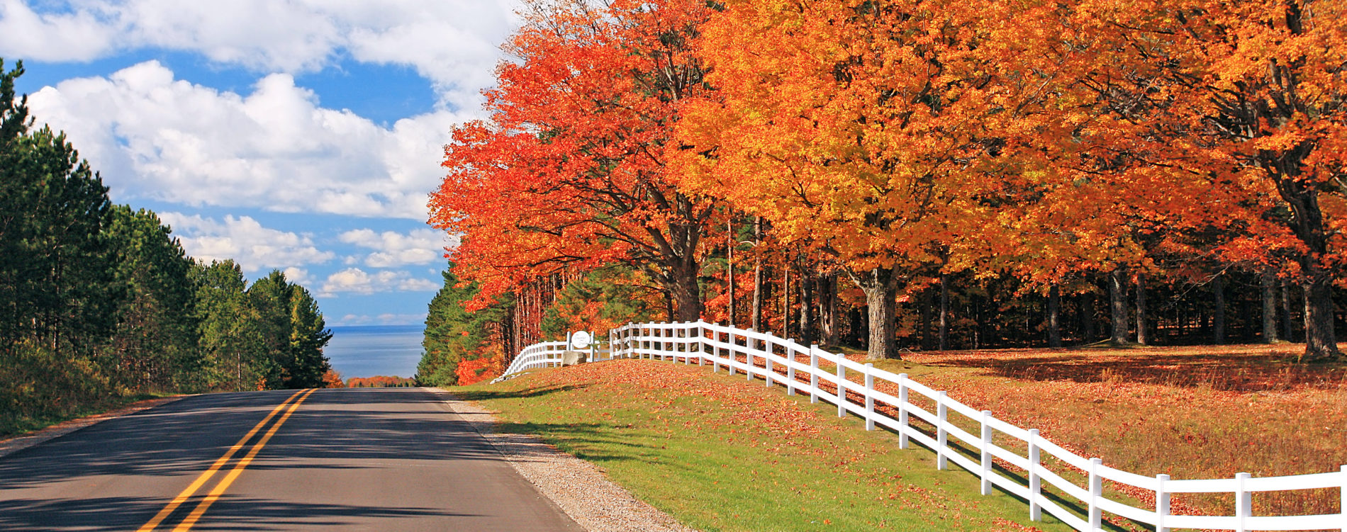picket fence fall trees - wide 2 - Trout Creek