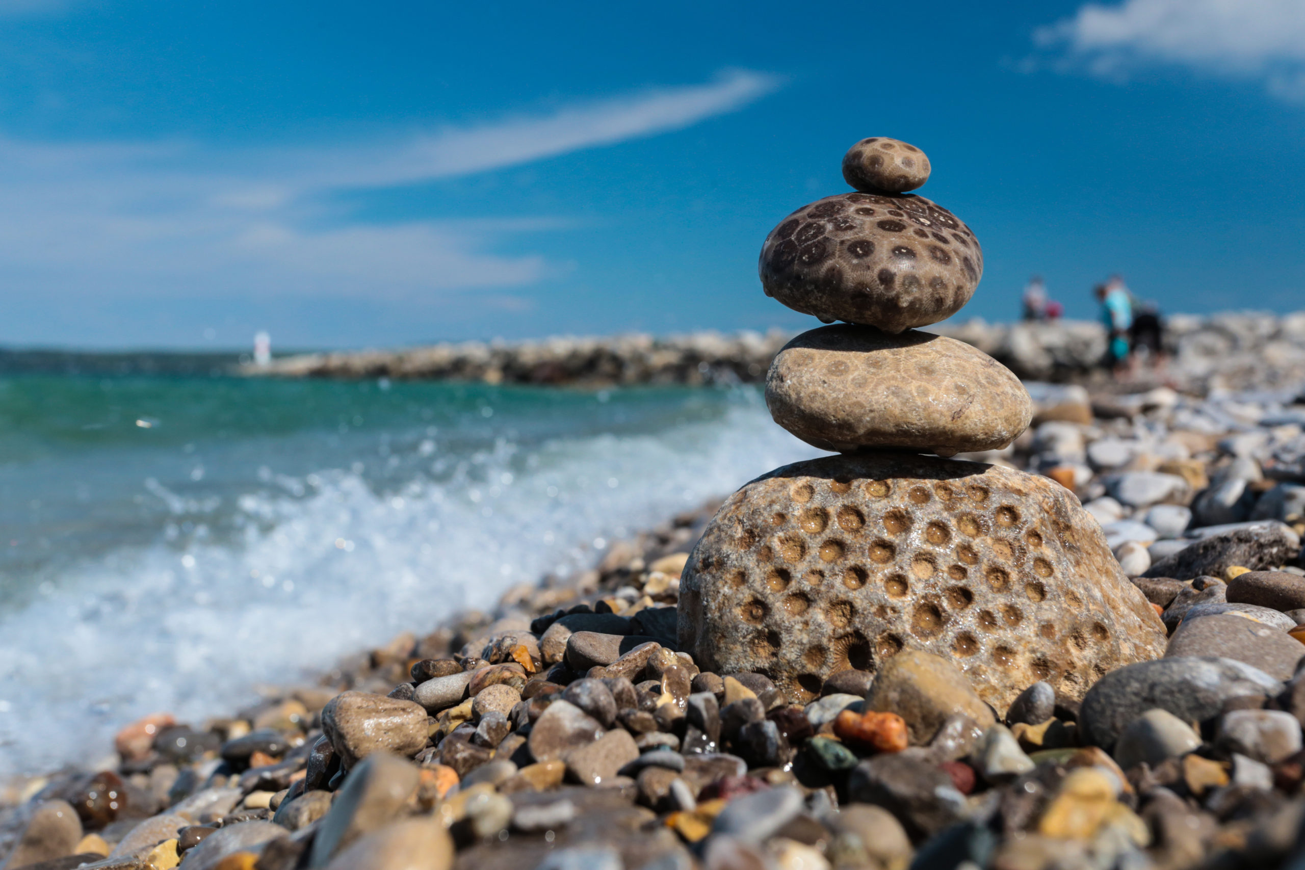 Petoskey Stones 4 - Trout Creek