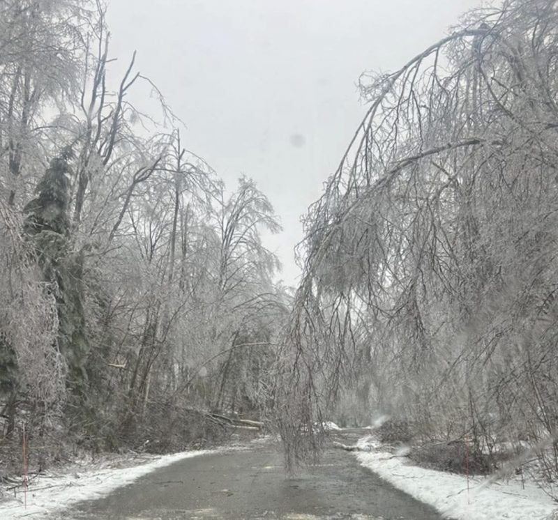 2025 Ice Storm Update - Trout Creek